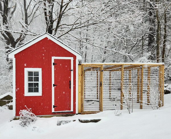 224 SQ FT, 16' X 14', Casita, Studio, She Den, Man Cave, Garden Shed ...