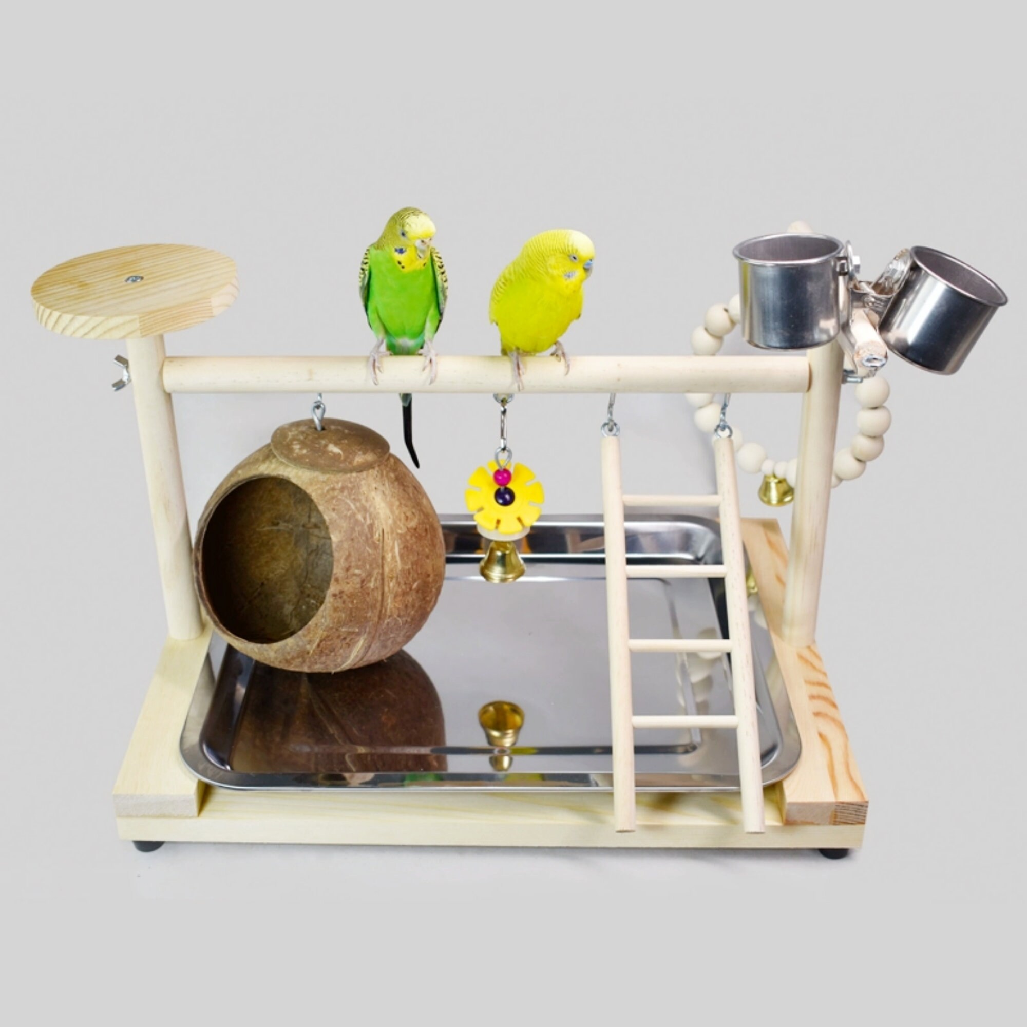 Parrot Bird Stand/natural Tree Stand/pet Bird Toys/parrot - Etsy