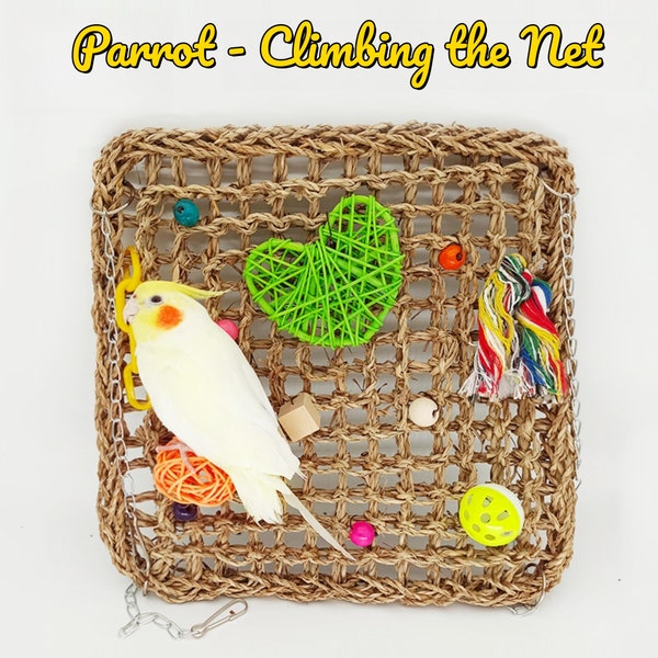 Parrot Toys - Etsy