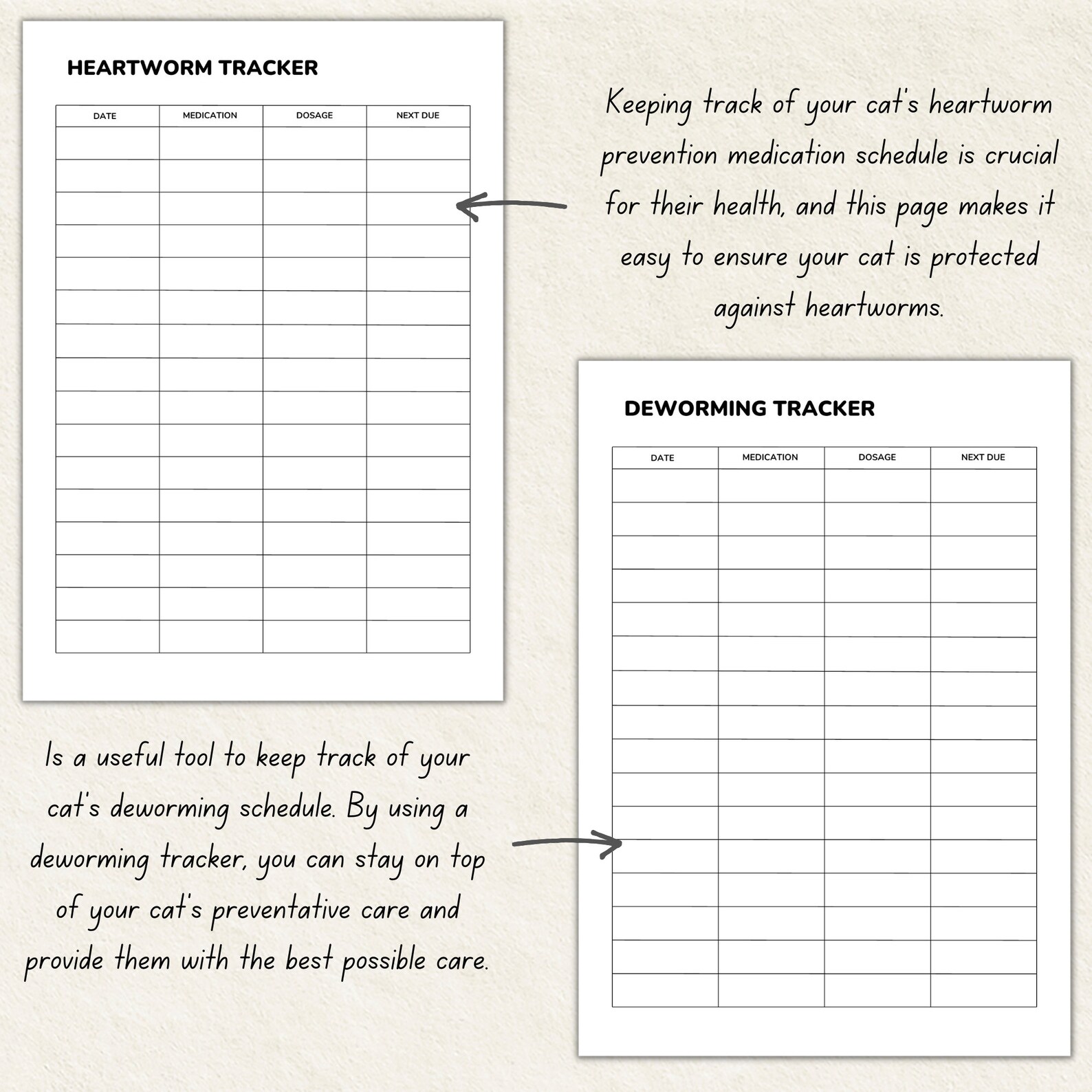 Cat Health Record Printable Kitten Vaccine Record Vet Appointments Cat ...