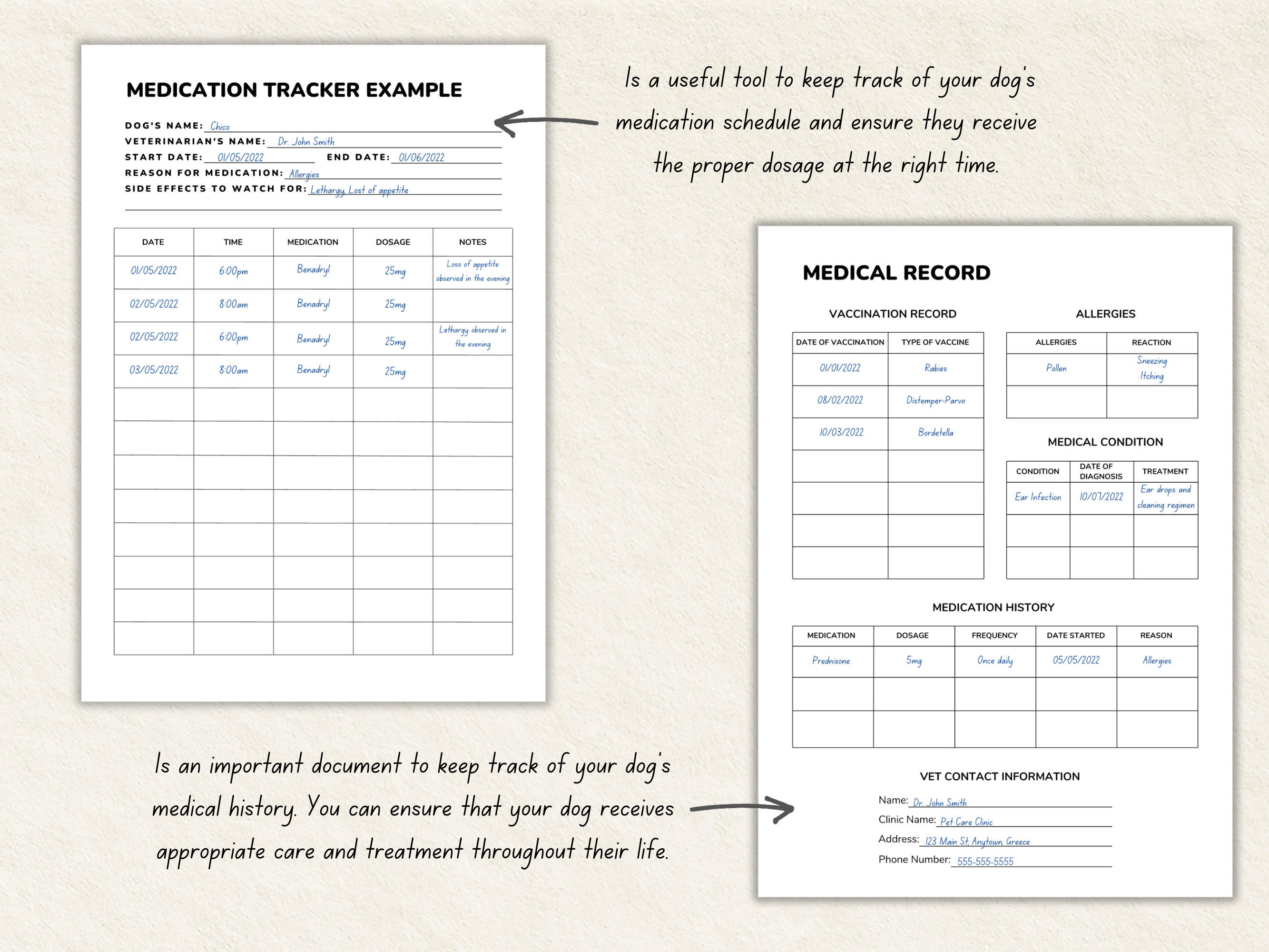 Dog Health Record Printable: Vet Visits, Vaccinations, Allergies (PDF ...
