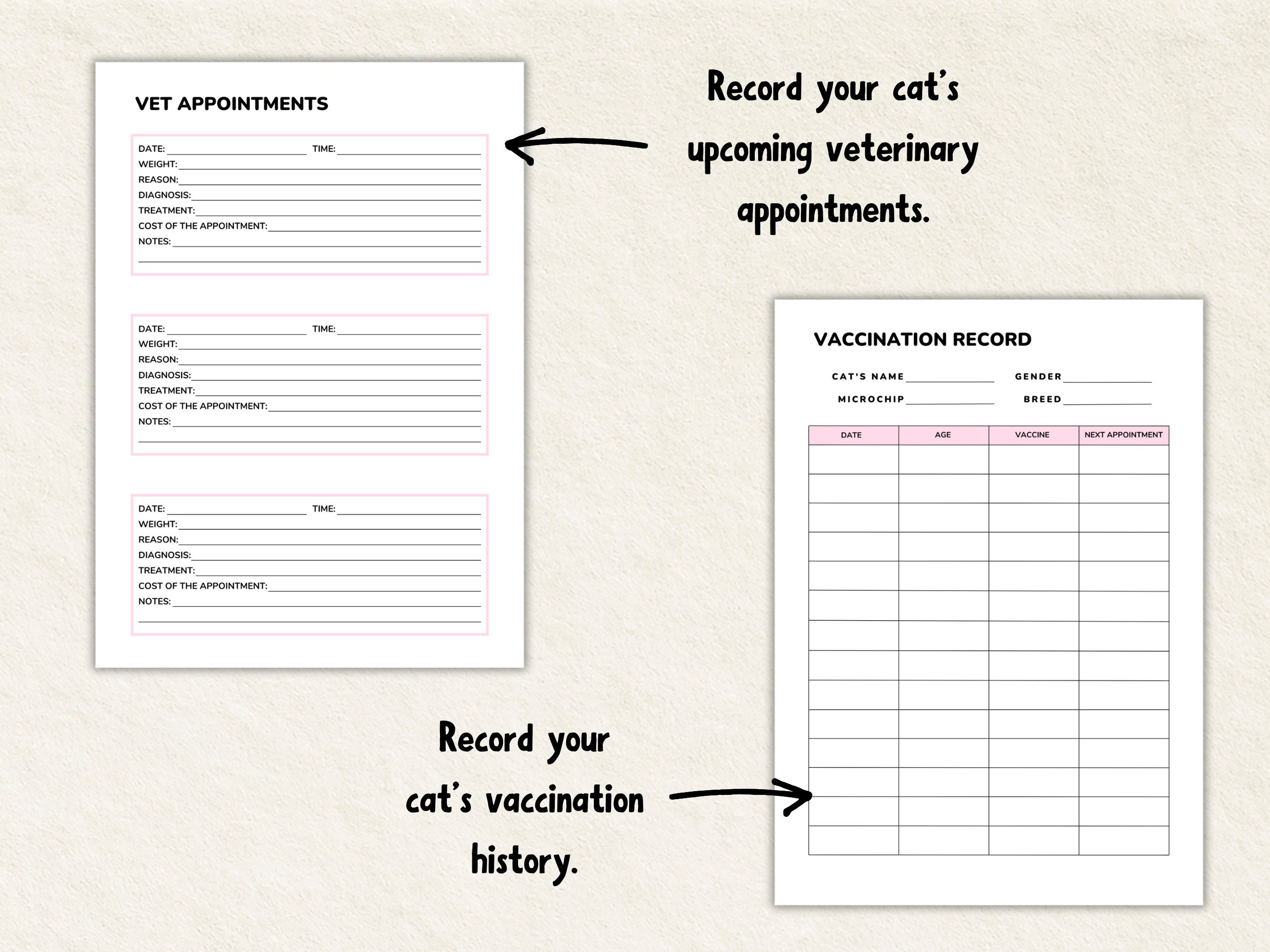 Cat Health Record Printable Kitten Vaccine Record Vet Appointments Cat ...