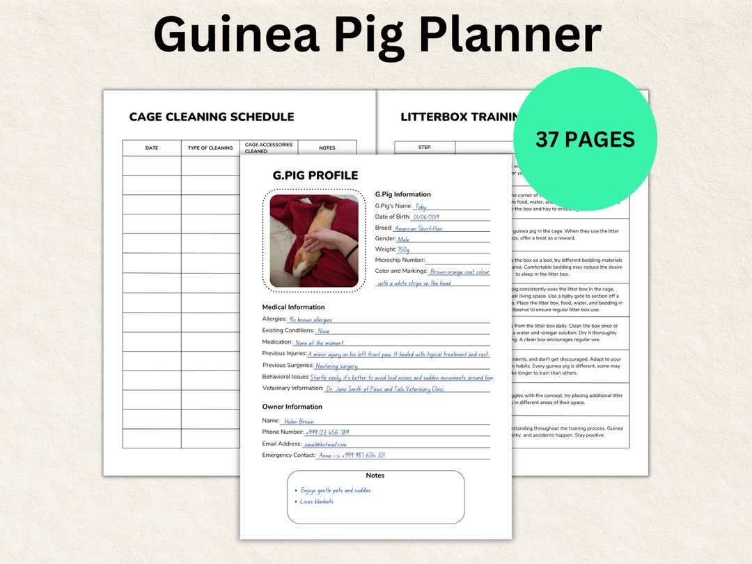 Guinea Pig Planner Printable Guinea Pig Tracker Goodnotes Guinea Pig ...