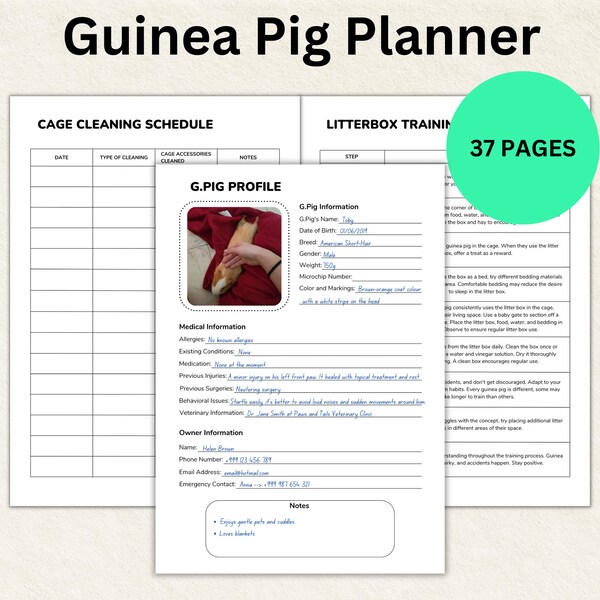 Guinea Pig Print - Etsy