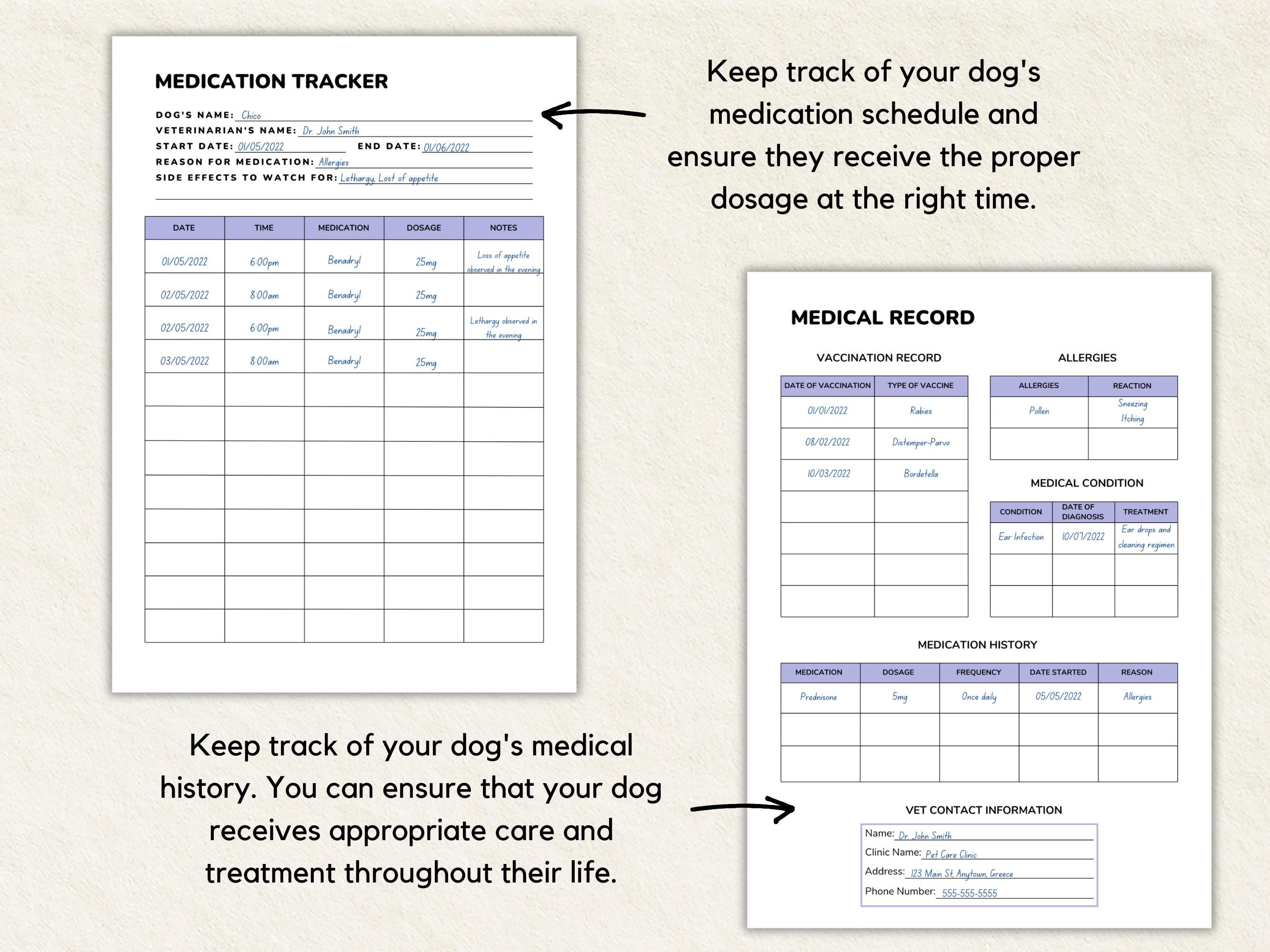 Dog Health Record Printable Dog Vaccination Record Vet Appointments ...