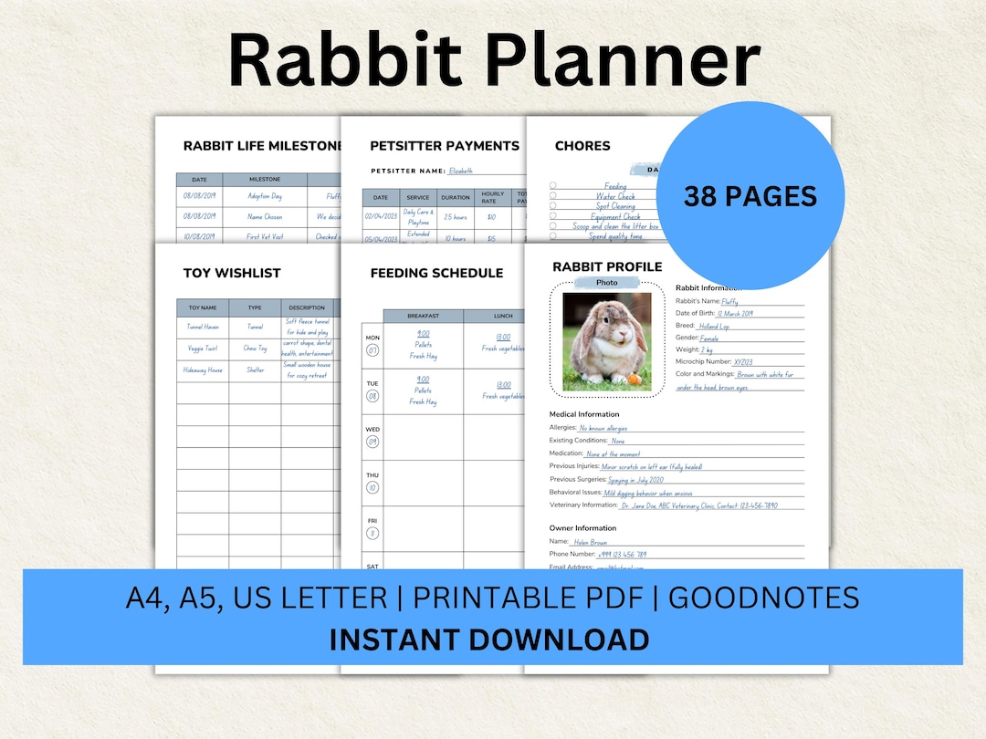 Rabbit Planner Rabbit Bundle Planner Printable Goodnotes Rabbit Log ...