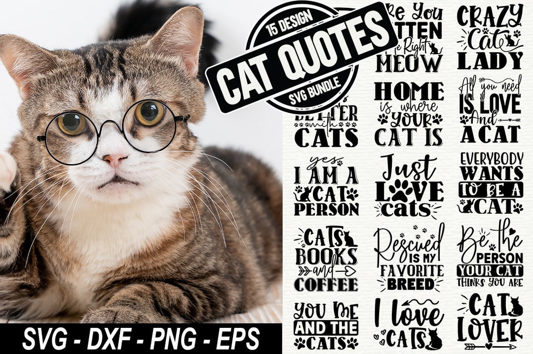 CAT SVG BUNDLE Cat Lover Svg Baby Cat Svg Funny Cat Svg Cat - Etsy
