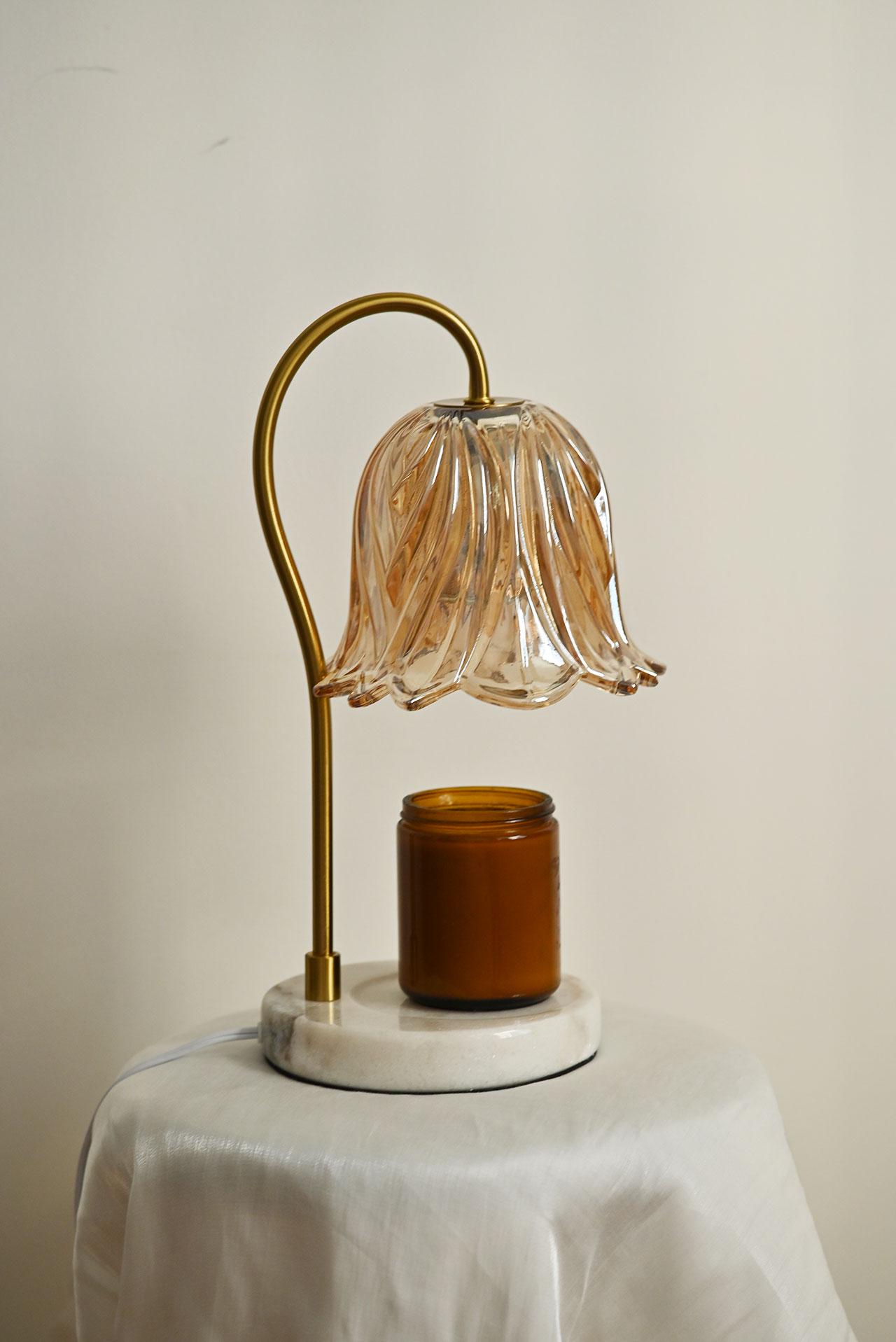 Electric Melt Warmer Lamp, Aromatherapy Diffuser, Smokeless Wax Safety ...
