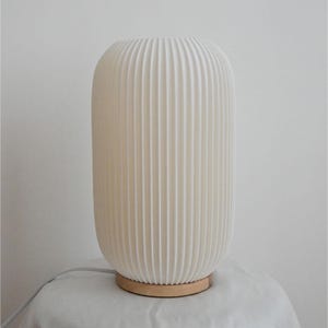 3D Printed Table Lamp, Lantern Shape 3D Print Desk Lamp, Standing Lamp ...