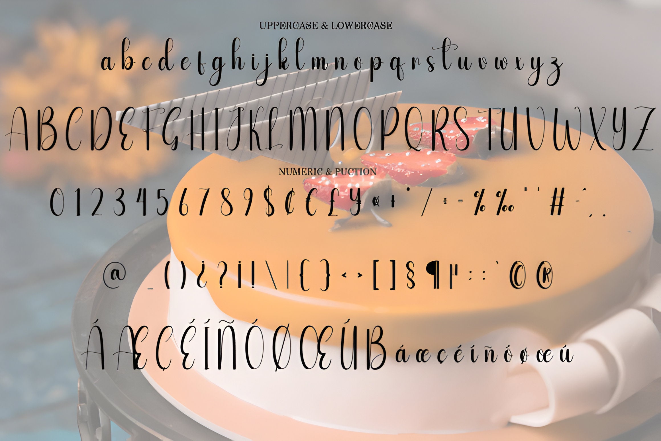 Cake Font Handwritten Font Font Bundle Script Font Groovy - Etsy UK