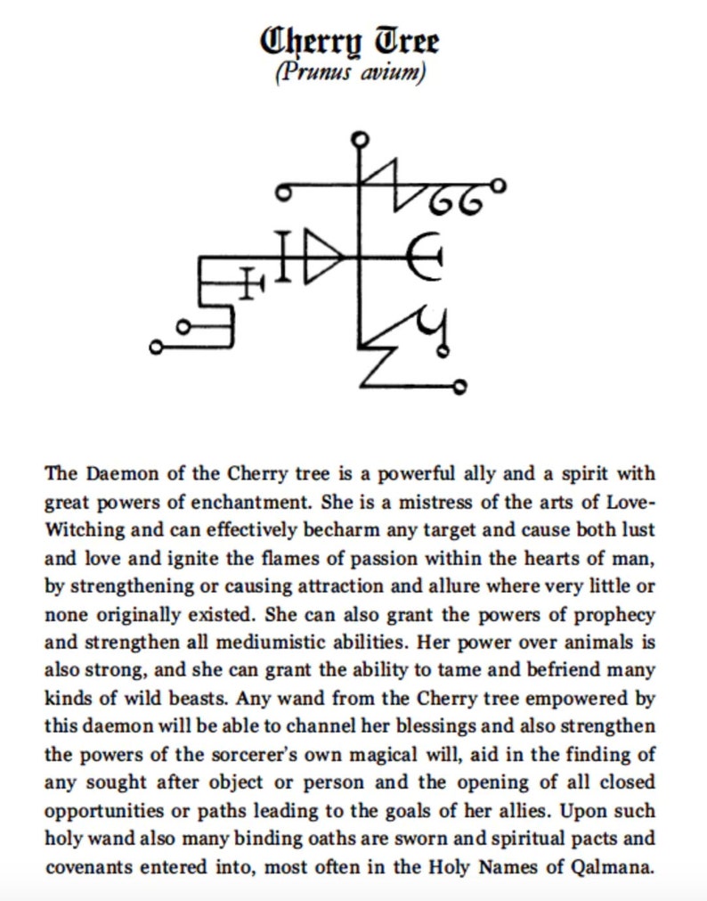 Great Grimoire Book Collection - 50 Ancient Grimoires Digital Download ...