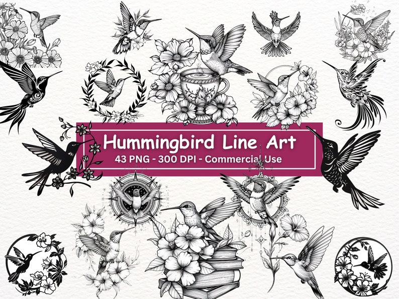 Hummingbird Line Art: Black and White PNG Clipart Set (digital Download ...