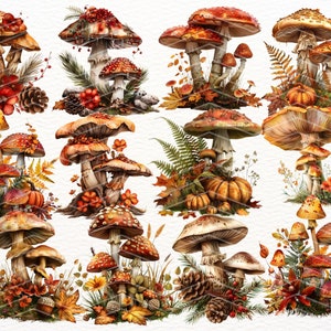 Fantasy Seasonal Mushroom Clipart Bundle, 78 PNG Set, Toadstools ...