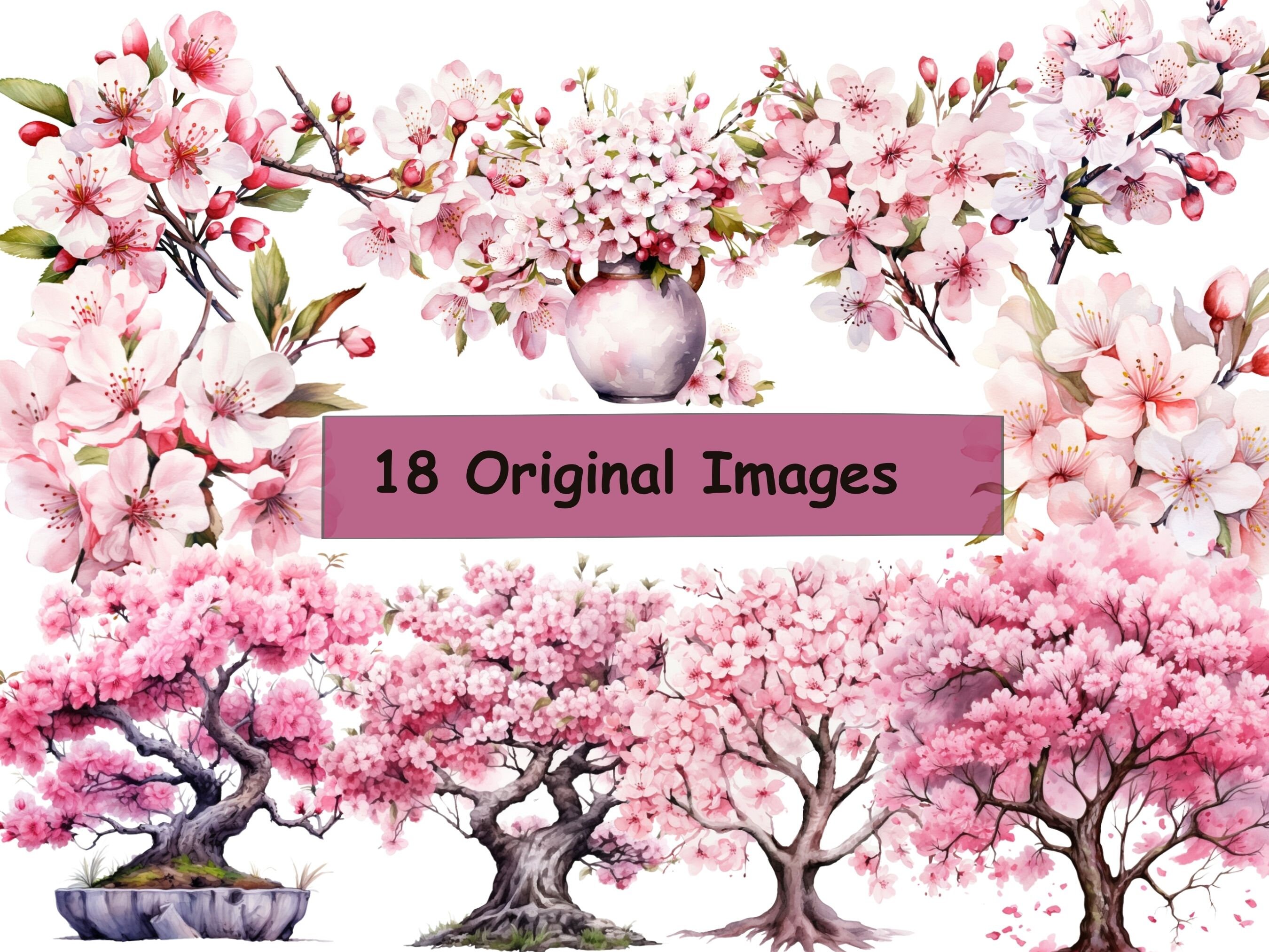 Watercolor Cherry Blossom Clipart Bundle 18pc Pngs Plus Free - Etsy Canada