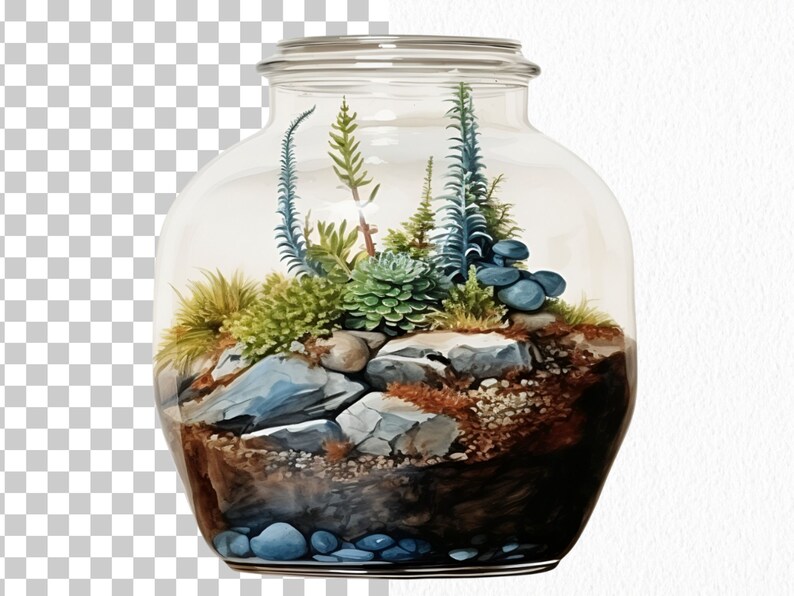 Terrarium Clipart Bundle, 28 PNG Set Botanical Art, Digital Download ...