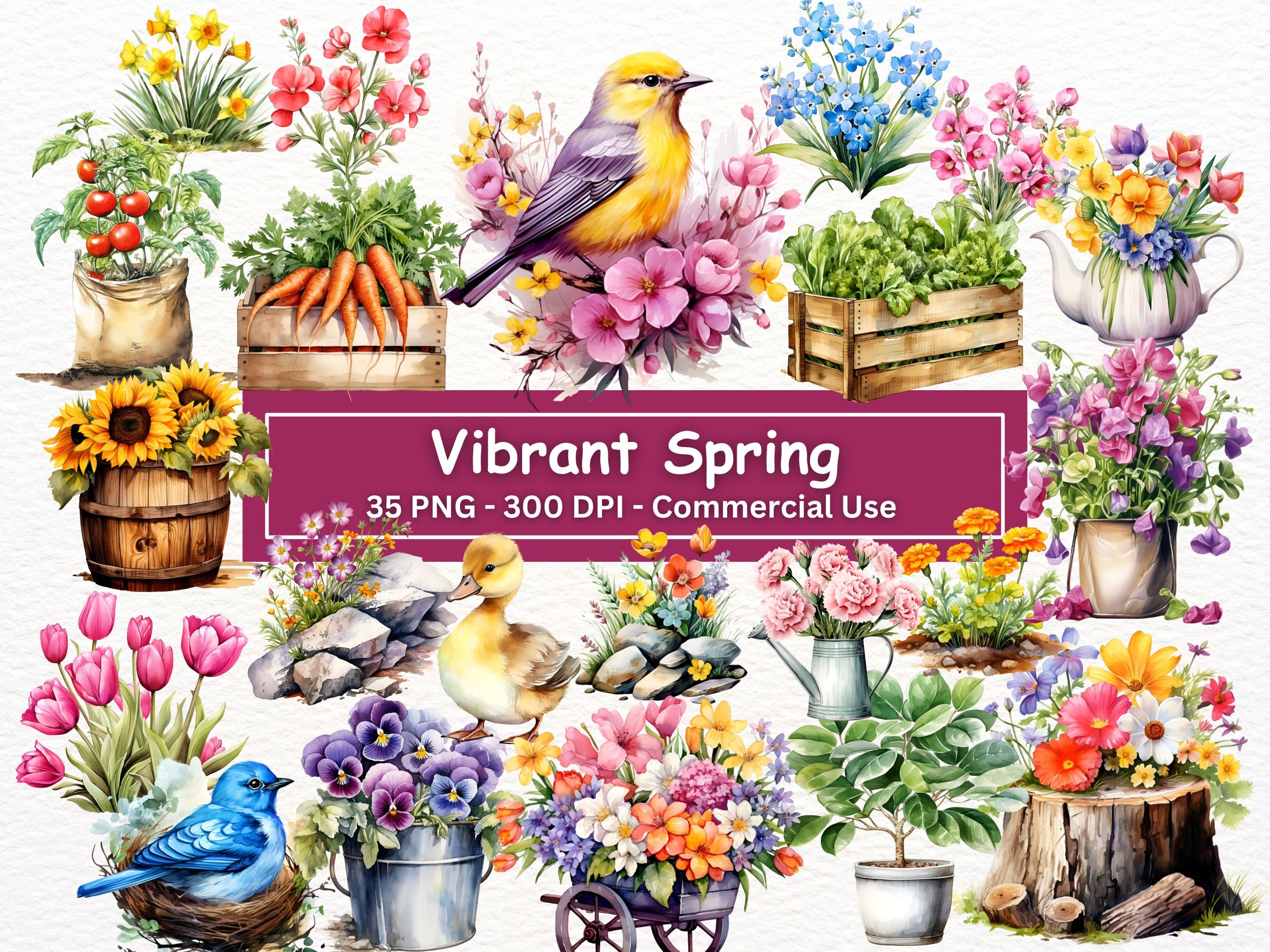 Vibrant Spring Clipart Bundle, 35 PNG Images, Commercial Use, Floral ...