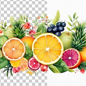 Watercolor Fruit Borders: Scrapbooking PNG Elements (digital Download ...