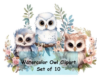 Baby Owl Clipart PNG Superb Owl Boho Flower Bird Wall Art Cute - Etsy