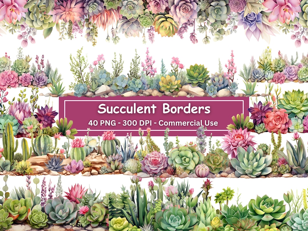 Watercolor Succulent Borders Bundle, Set of 0f 40 Pngs, Plants, Garden ...