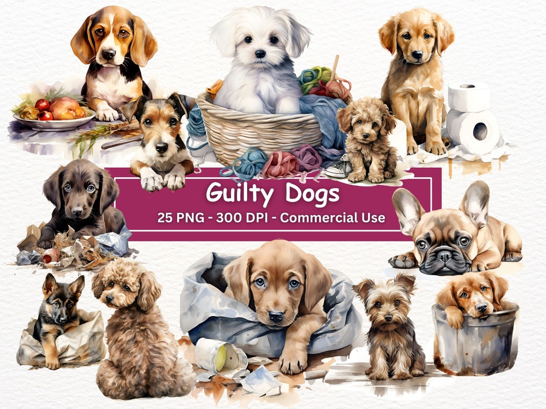Guilty Dog Clipart Bundle, 25pngs, Realistic Messy Dogs, Card Making ...