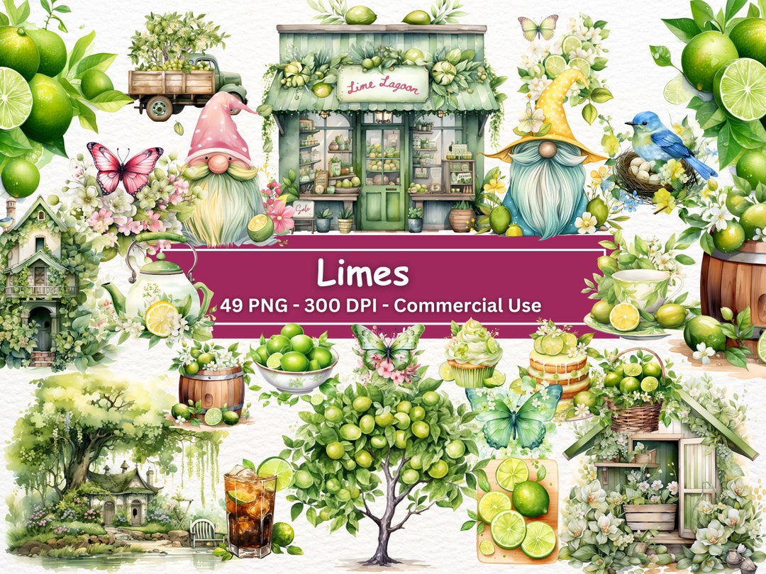 Watercolor Lime Clipart Bundle, PNG Set of 49, Limes Clipart, Key Lime ...