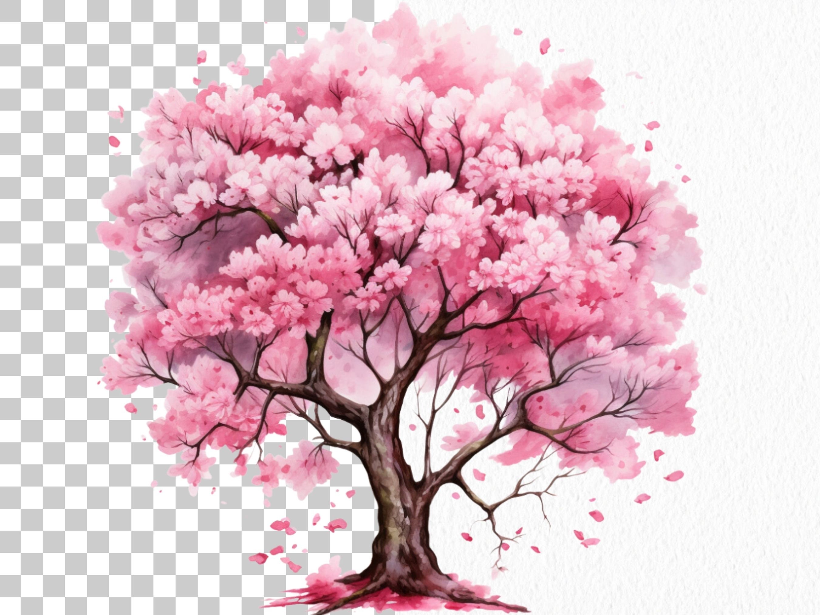 Watercolor Cherry Blossom Clipart Bundle: 35 Pngs (digital Download) - Etsy