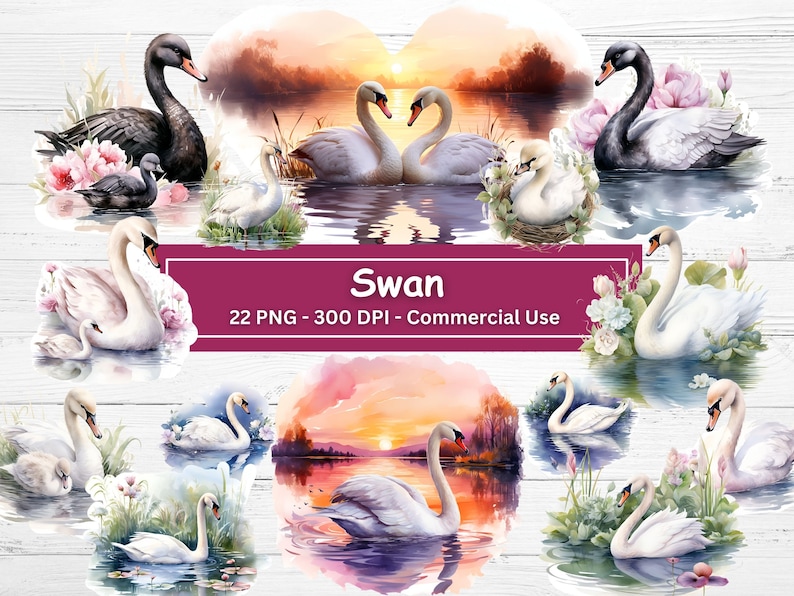 Swan Clipart Bundle, Set of 22 Pngs, Digital Download, Card Making ...