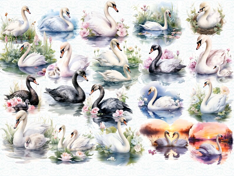 Swan Clipart Bundle, Set of 22 Pngs, Digital Download, Card Making ...