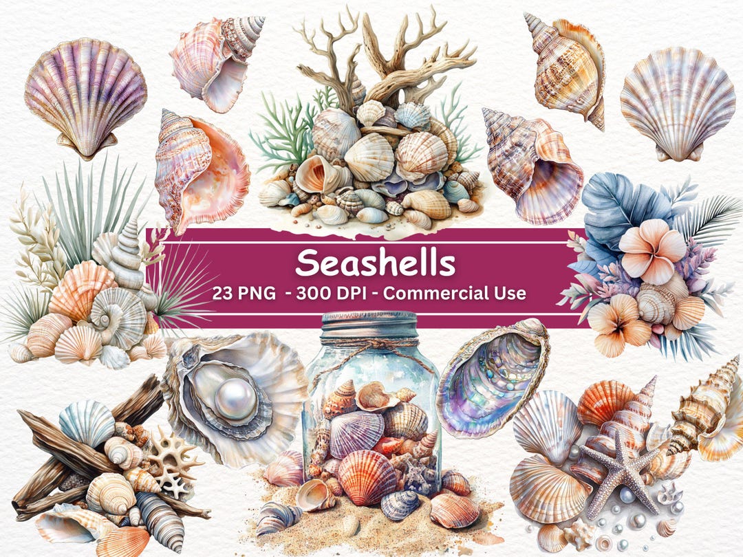Watercolor Seashells Clipart Bundle: Summer Shells PNG Set (commercial ...