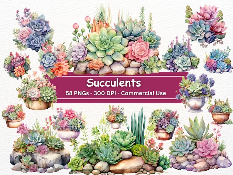 Watercolor Succulent Clipart Bundle: Botanical PNG Graphics (digital ...