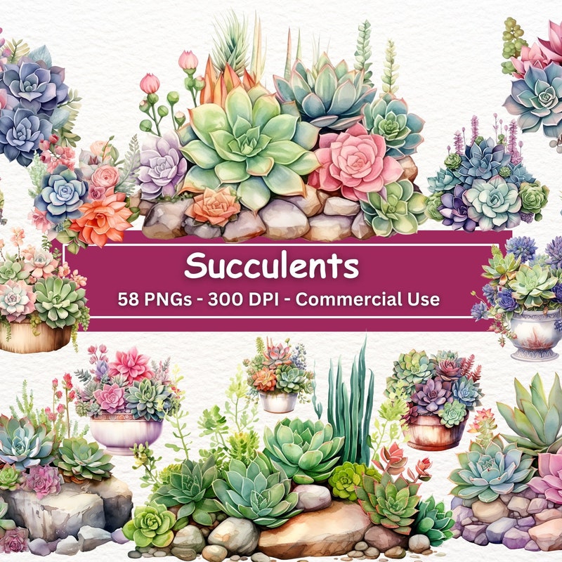 Watercolor Succulent Card - Etsy