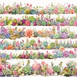 Watercolor Succulent Borders Bundle, Set of 0f 40 Pngs, Plants, Garden ...