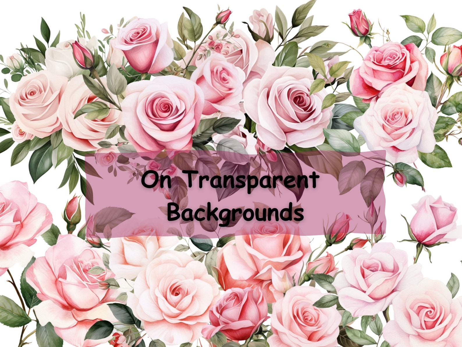 Watercolor Pink Roses Clipart Floral Clip Art Bundle 24 - Etsy