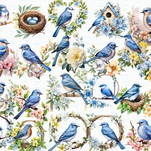 Watercolor Blue Bird Clipart, 23 PNG Set Nursery Art, Digital Download ...