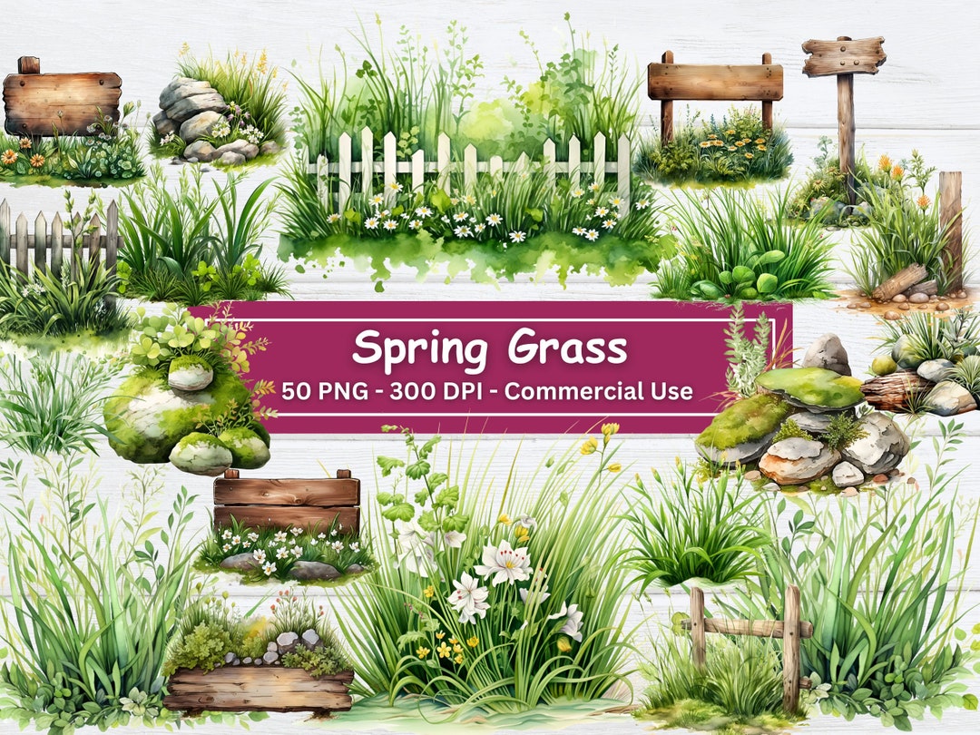 Watercolor Spring Grass Clipart Bundle, 50 PNG Set, Card Making, Summer ...