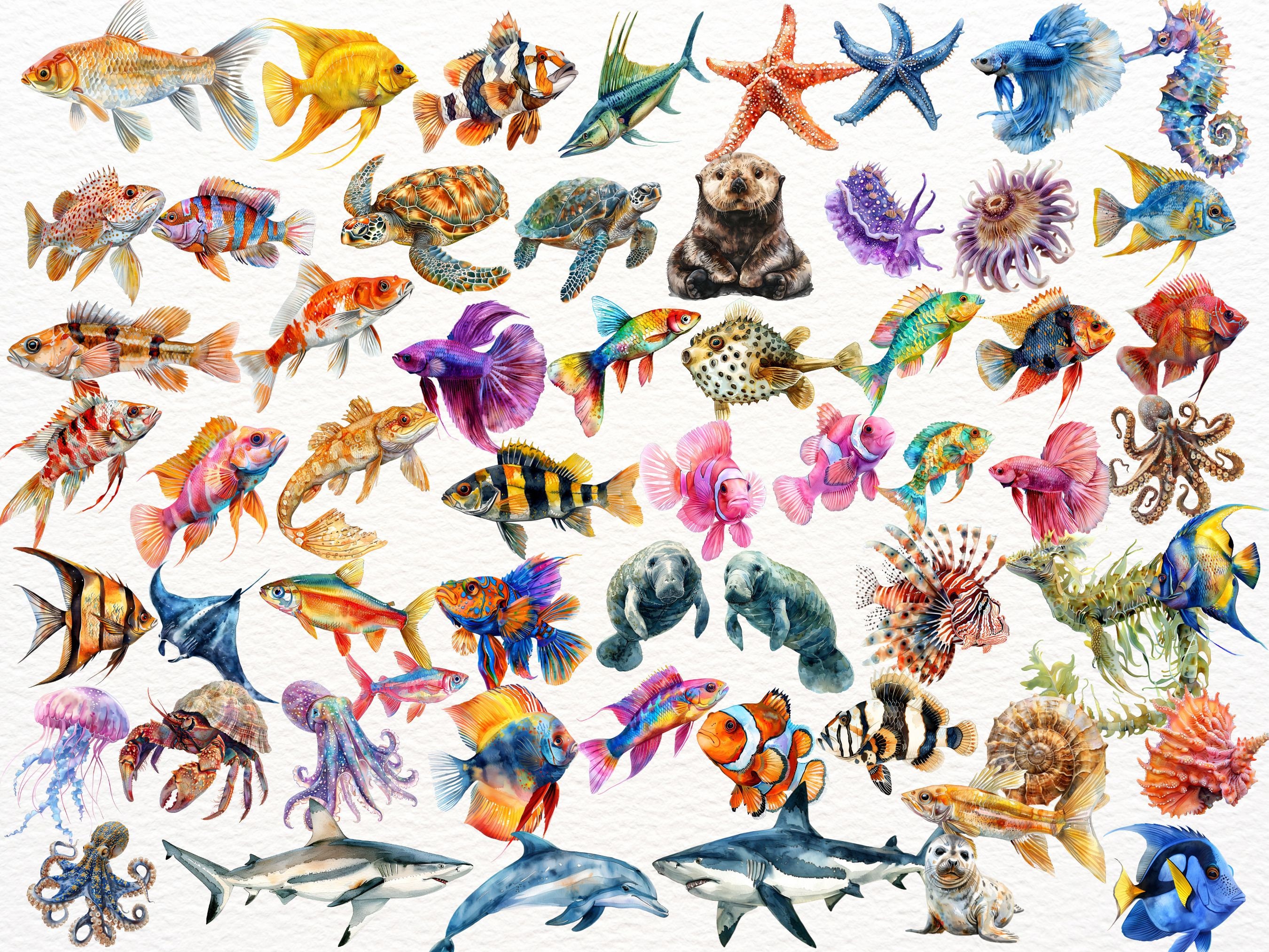 Ocean Animals Clipart: 76 PNG Sea Creatures (digital Download) - Etsy