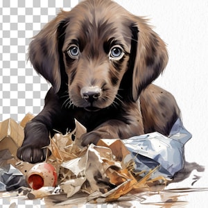 Guilty Dog Clipart Bundle, 25pngs, Realistic Messy Dogs, Card Making ...