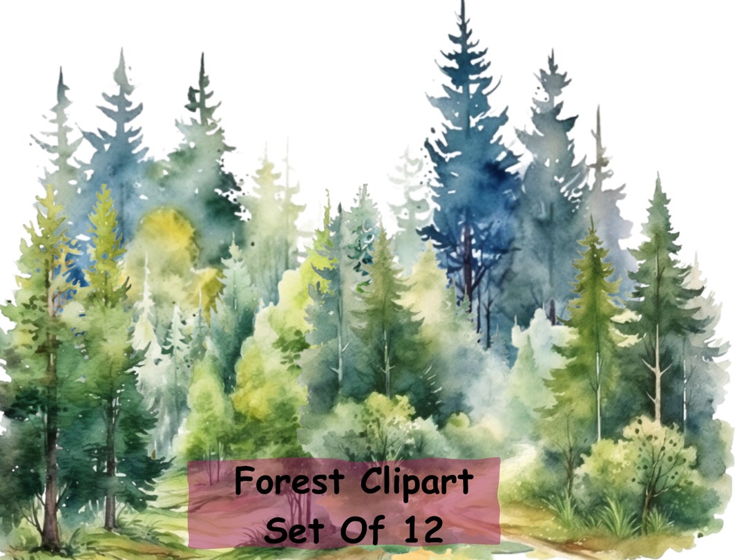 Forest Watercolor Clipart: Tree PNG Set (digital Download) - Etsy