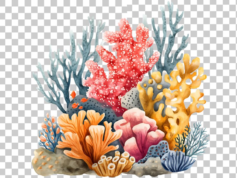 Cute Sea Animals Clipart, Set of 40 Pngs, Under the Sea, Coral, Fish ...