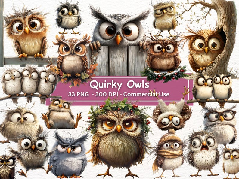 Quirky Owl Clipart Bundle: Funny Bird PNG Illustrations (digital ...