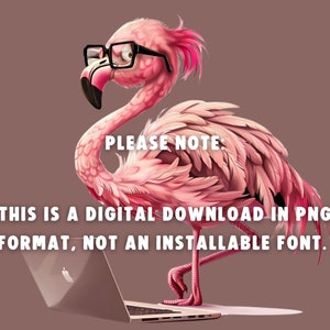 Funny Flamingo PNG Clipart: Biker, Messy Hair Birds (digital Download ...