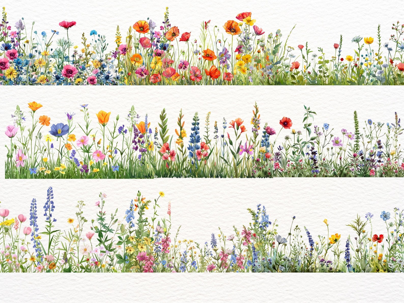 Wildflower Borders Clipart Bundle: Spring Meadow Pngs (digital Download ...