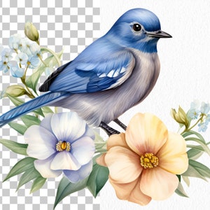 Watercolor Blue Bird Clipart, 23 PNG Set Nursery Art, Digital Download ...