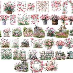 Watercolor Pink Carnations Clipart Bundle, 47 PNG Images, Commercial ...