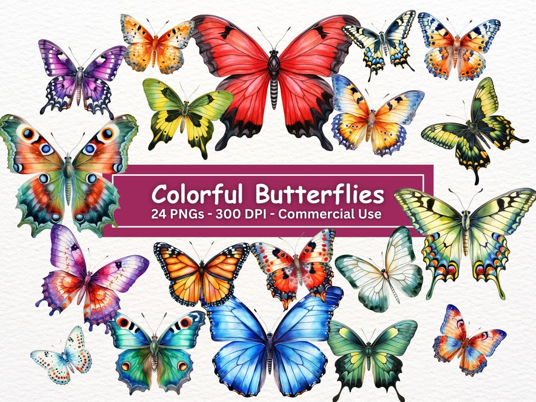 Colorful Butterflies Clipart Bundle, 24 PNG Set, Transparent Background ...