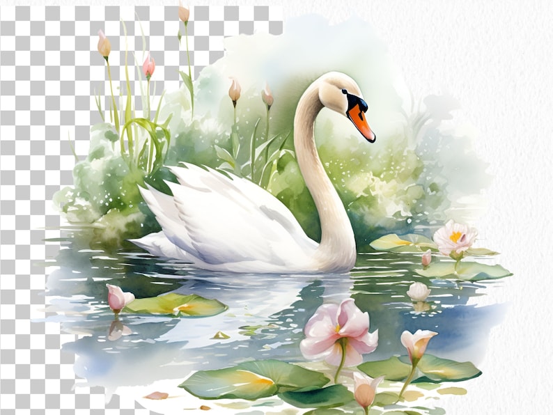 Swan Clipart Bundle, Set of 22 Pngs, Digital Download, Card Making ...