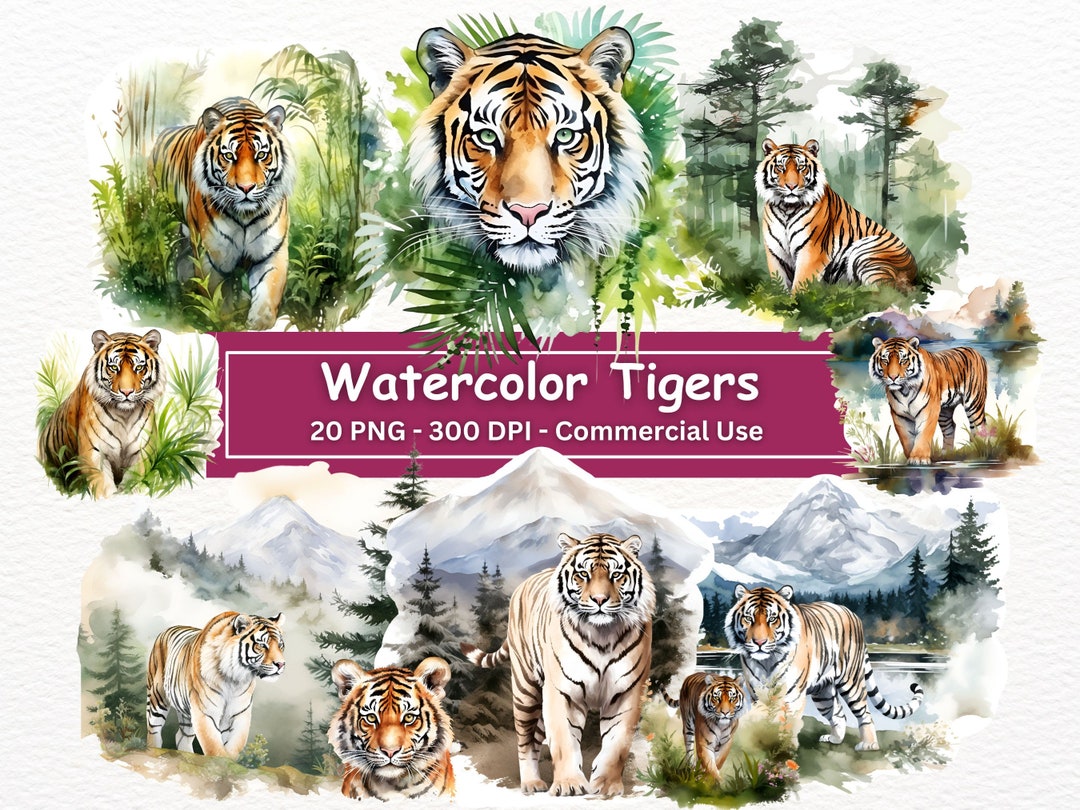 Tiger Clipart Bundle: Watercolor PNG Set, Nursery Art (digital Download ...