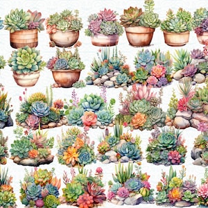 Watercolor Succulent Garden Clipart Bundle, PNG Botanical Graphics, Set ...