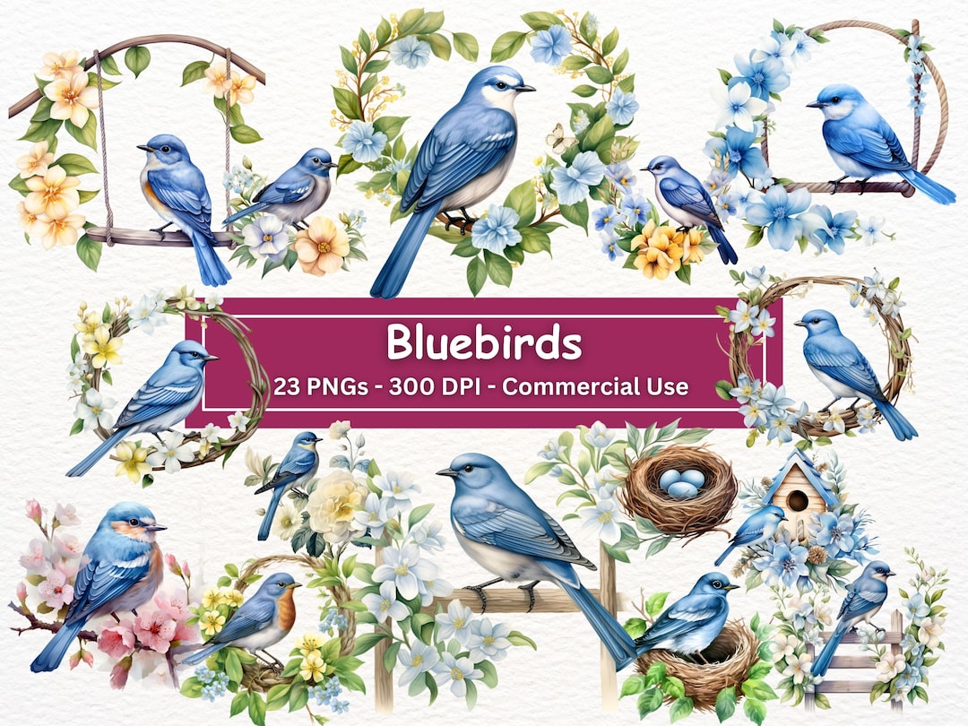 Watercolor Blue Bird Clipart, 23 PNG Set Nursery Art, Digital Download ...