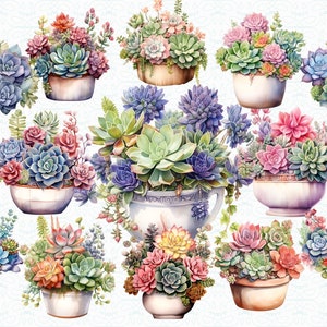 Watercolor Succulent Garden Clipart Bundle, PNG Botanical Graphics, Set ...